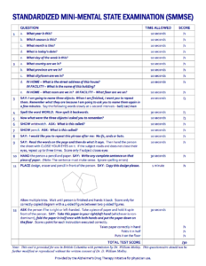 Standardized Mini-Mental State Exam (MMSE) – The Oscar Galaxy